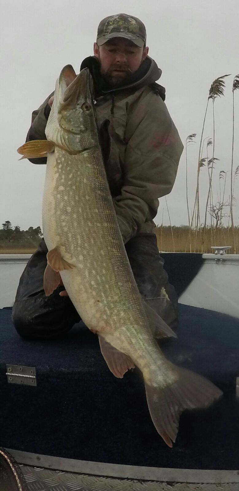 Predator Fishing IrelandSpring Fishing - Predator Fishing Ireland